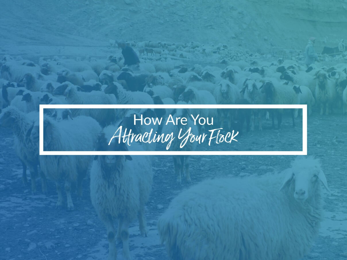 How Are You Attracting Your Flock?