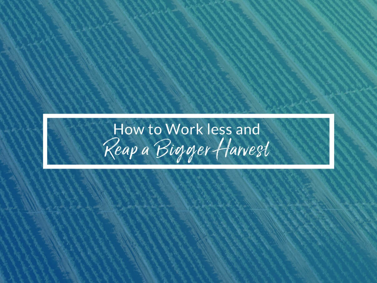 How To Work Less And Get More Done With Focused Action